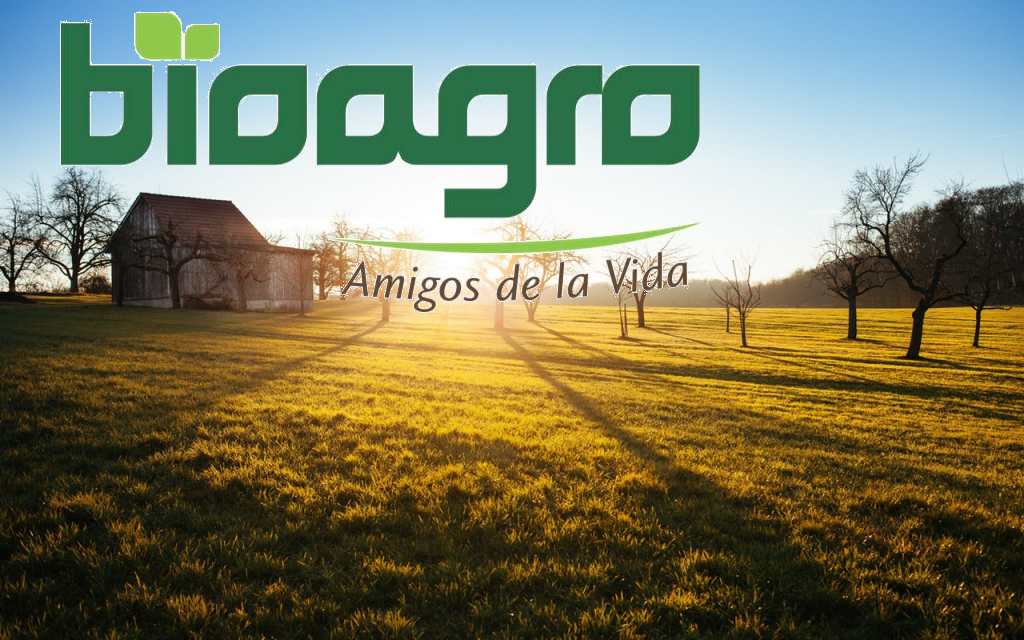 Acceso Bioagro